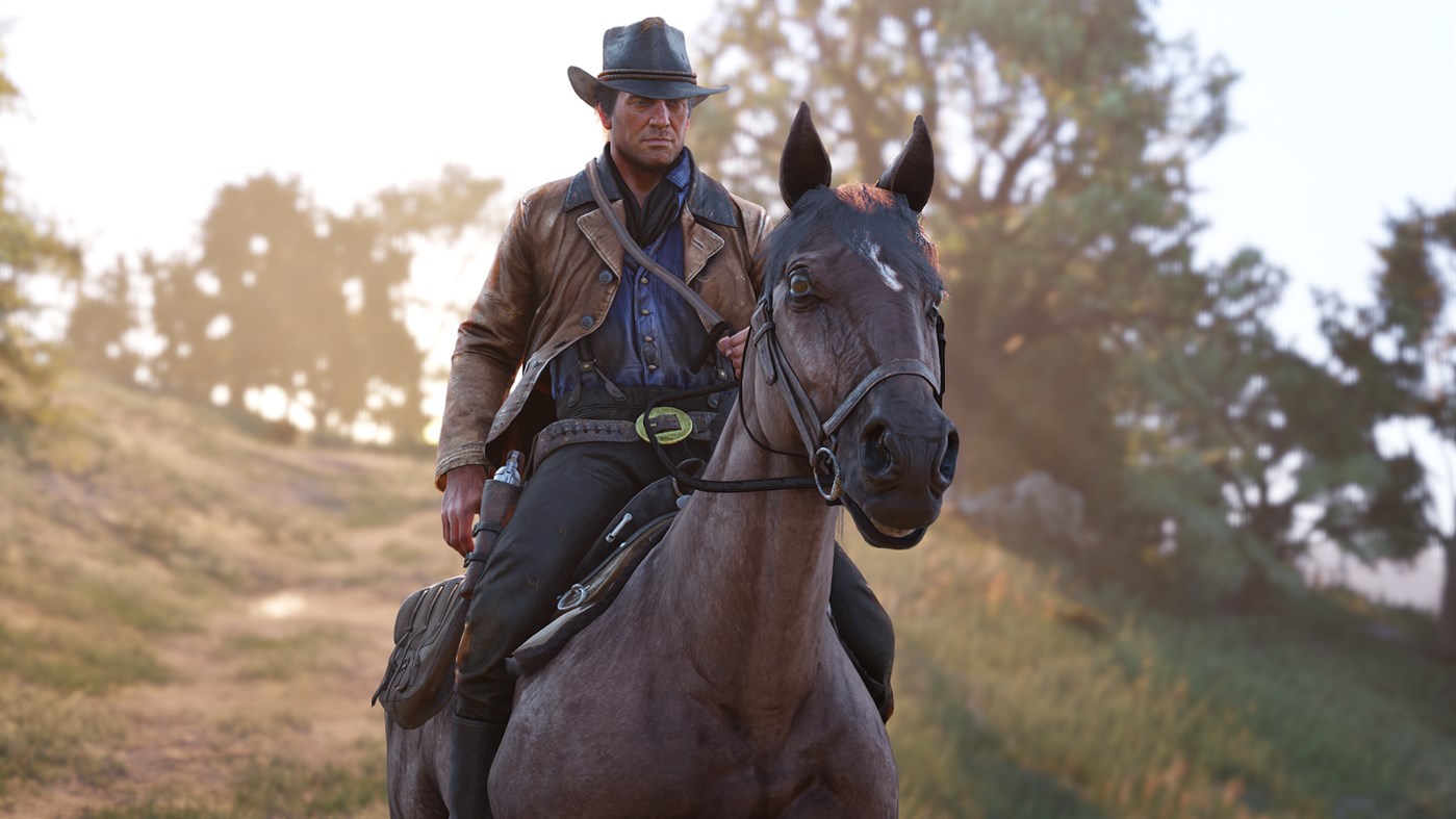 Buy Red Dead Redemption 2 Story Mode and Ultimate Edition Content XBOX One Xbox Series X S Account CJS CD Keys